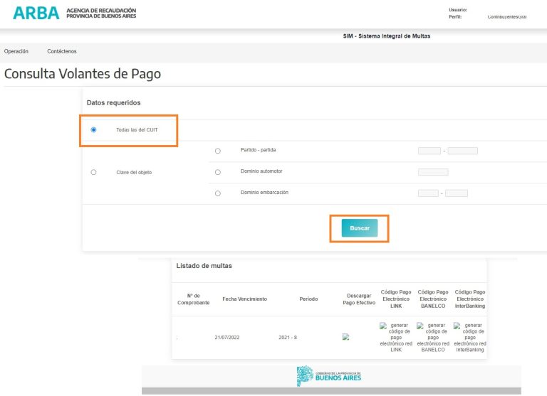 ARBA Intimación por Multa Automática. Puntos a tener en cuenta.