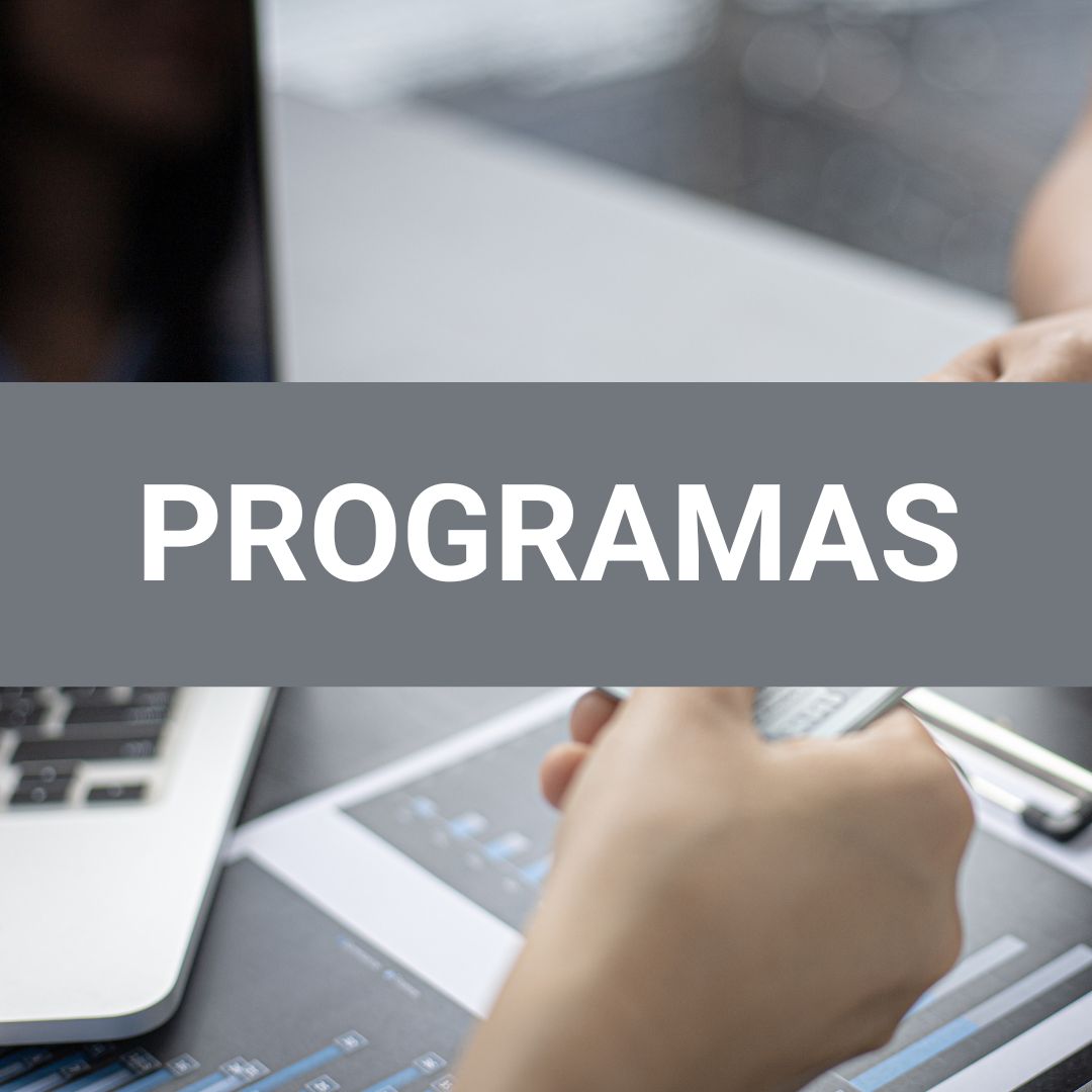 Programa apícola. Resolución 1186/2023